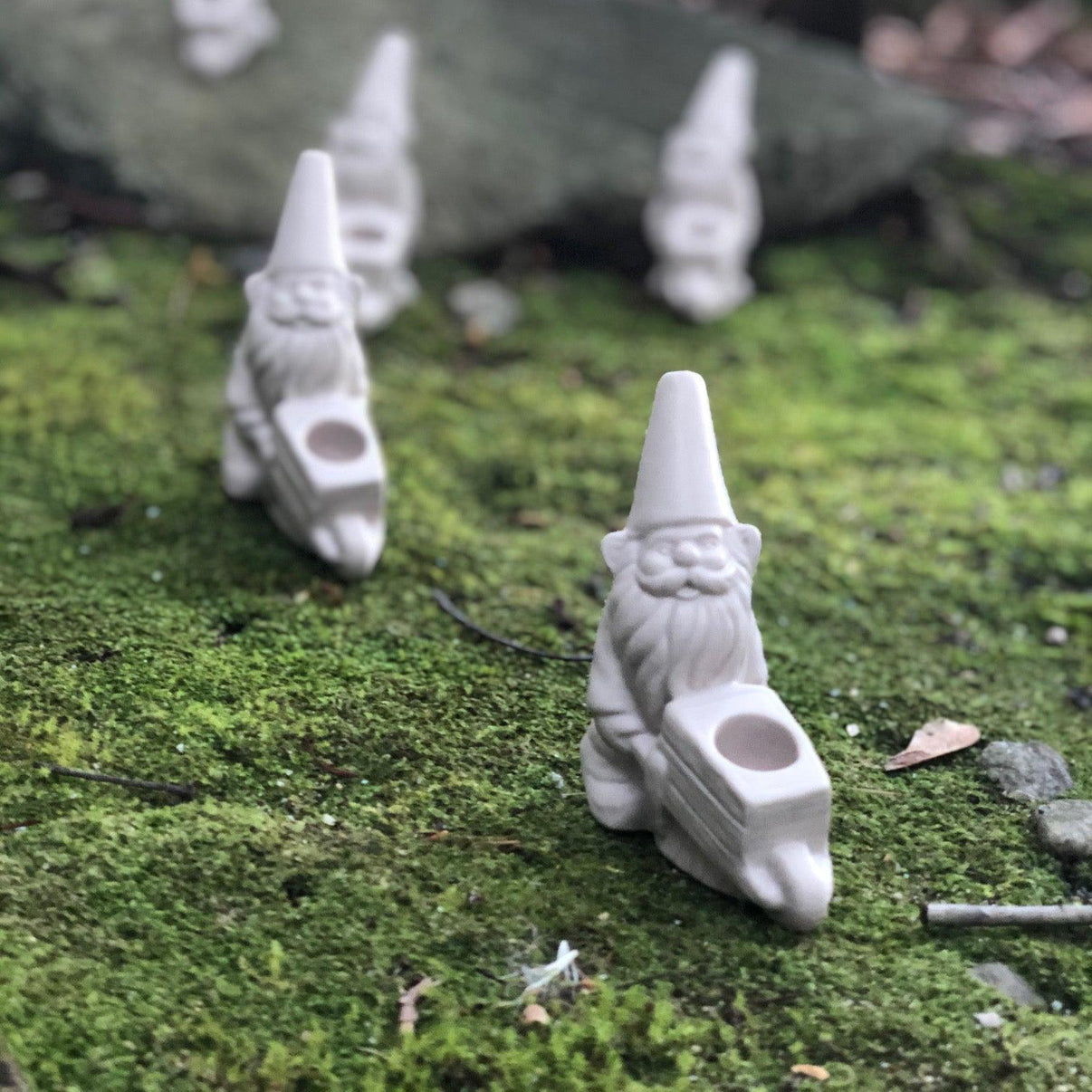 Gnome Pipe – SensiBox